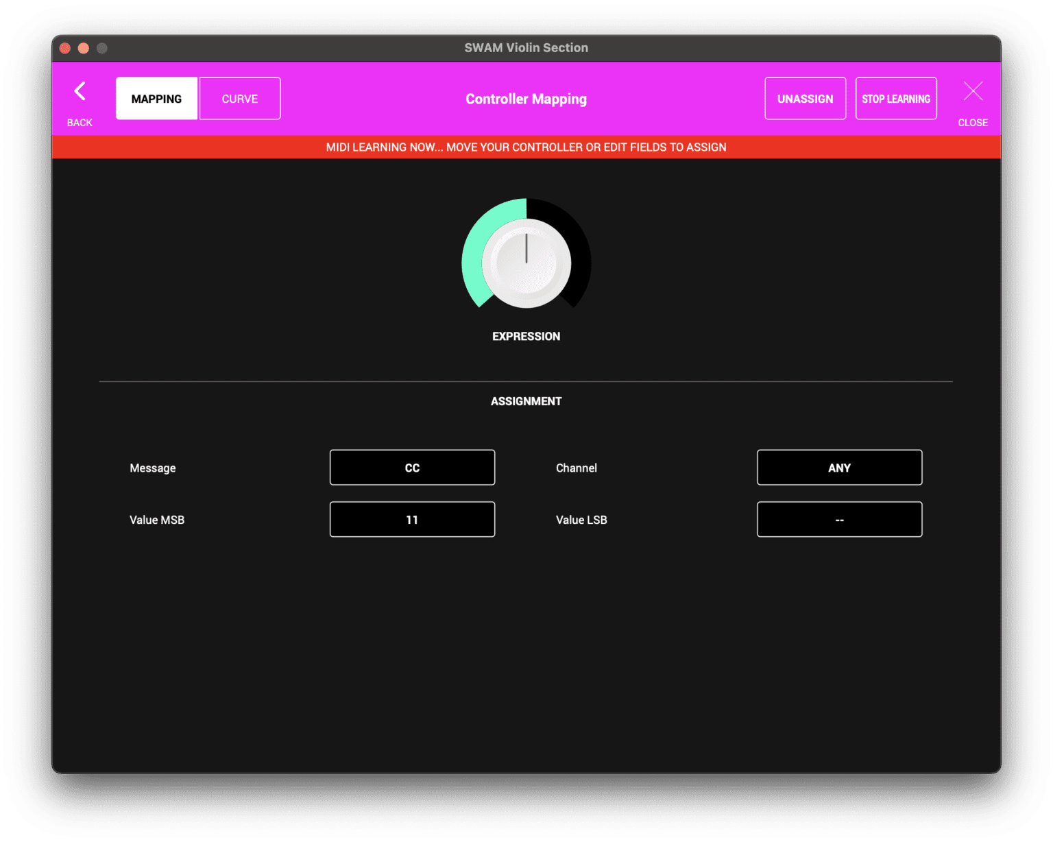 SWAM String Sections | Audio Modeling