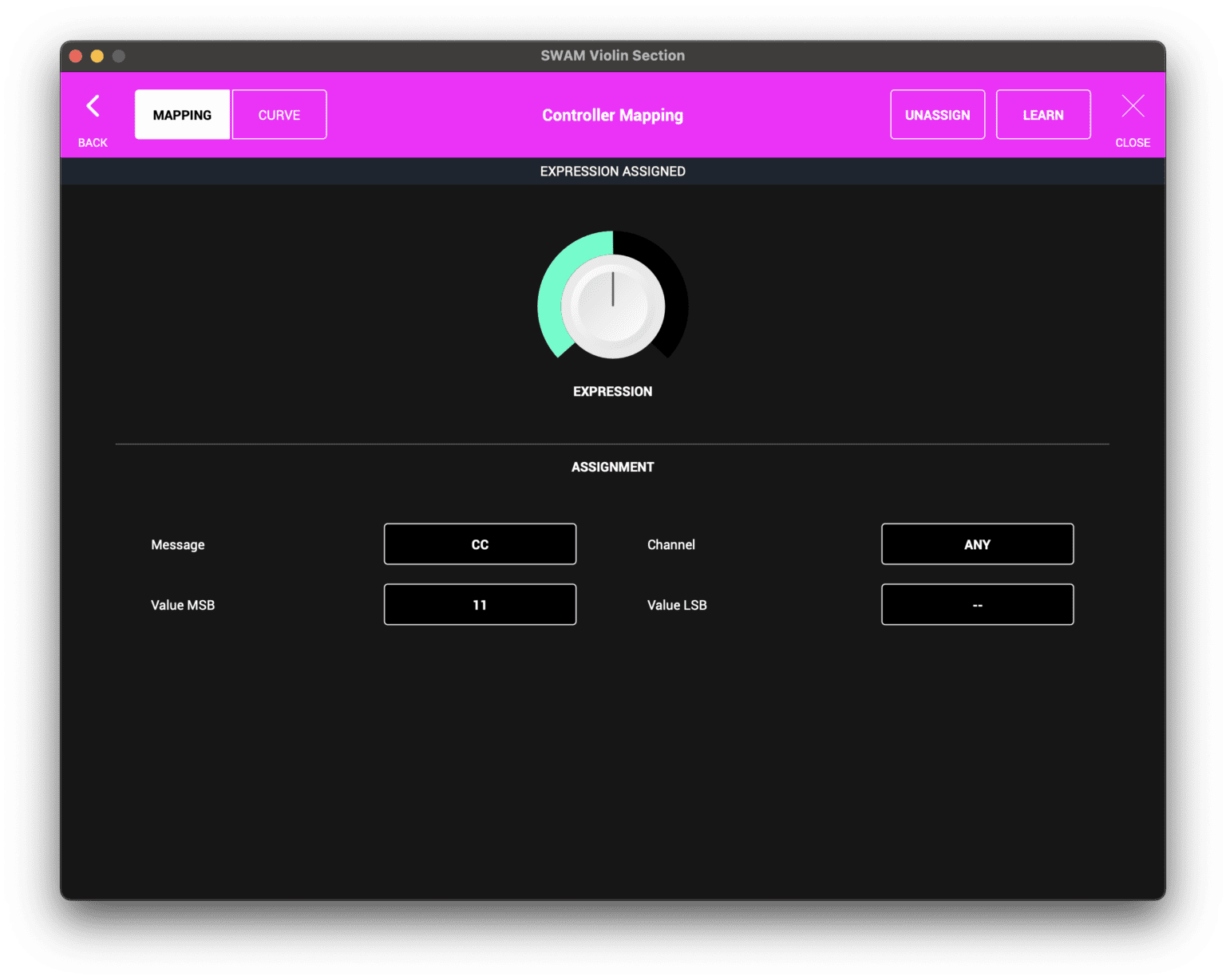 SWAM String Sections | Audio Modeling