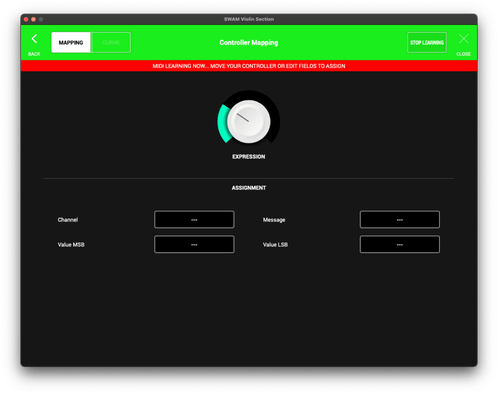 SWAM String Sections | Audio Modeling