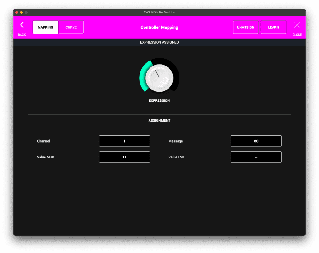SWAM String Sections | Audio Modeling